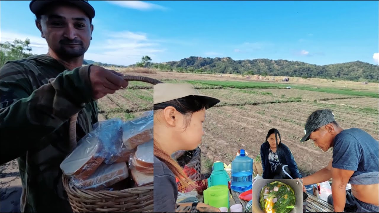 Tour of the Onion farm| day two patanim at bunot ng sibuyas|Cooked ...