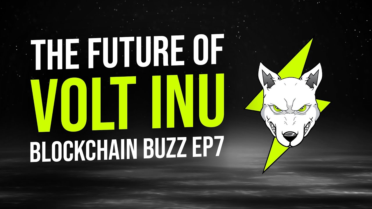The Future of VOLT INU | Blockchain Buzz EP7 with PabloCRO | YouTuber & $VOLT Early Investor ...