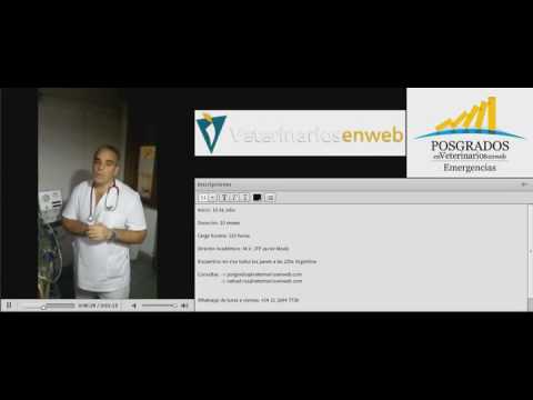 Posgrado de Emergencias - Javier Mouly - YouTube