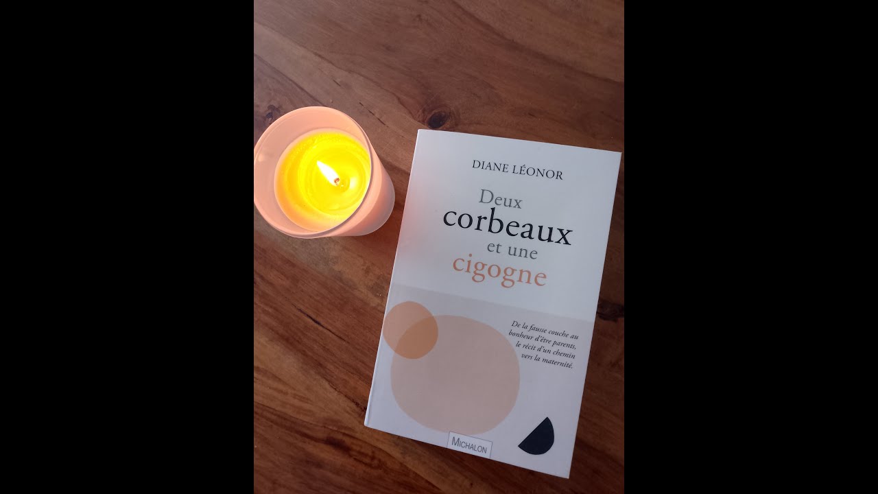 Deux corbeaux et une cigogne - Diane Léonor - YouTube