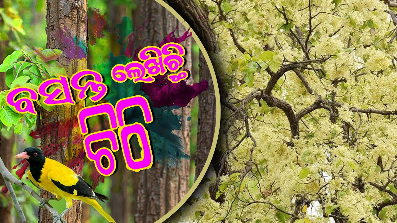 basanta/manua radio/jhumor/folk song/makar/chithi/mayurbhanj/dhumsa ...