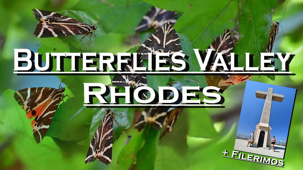 Valley of Butterflies, Rhodes ( Petaloudes ) + trip to Filerimos 💖 ...