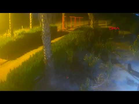 Bekçileri Bağlayıp, Çiftlikleri Soydular