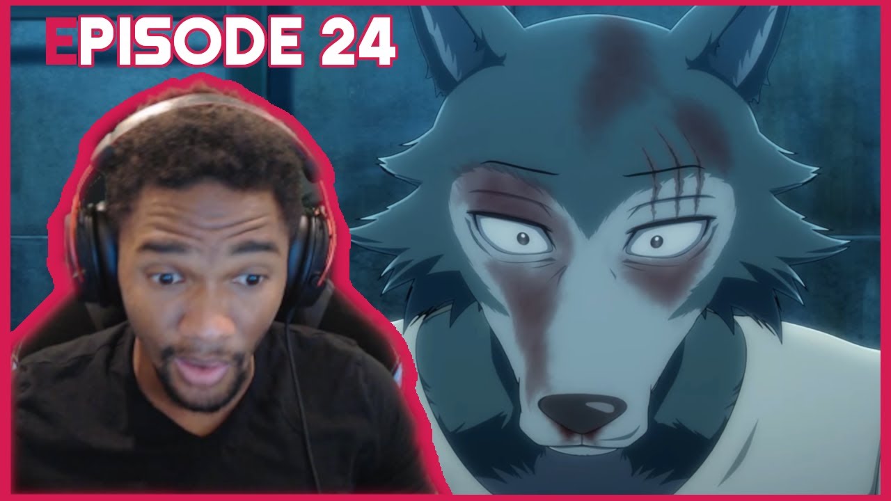 Legoshi vs Riz - Beastars Season 2 - Episode 24 (Reaction) - YouTube