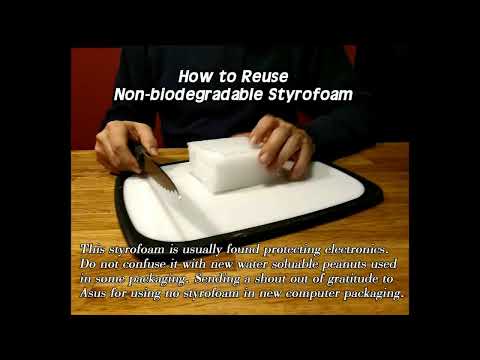 Why Is Styrofoam Non Biodegradable