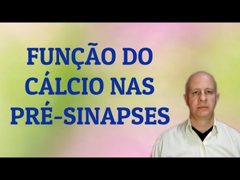 Função do cálcio nas pré-sinapses. - YouTube