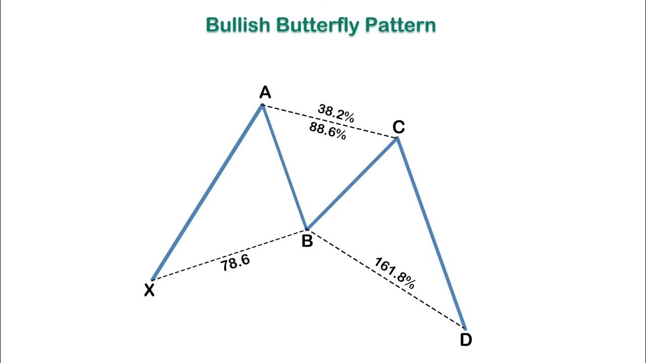 Top 4 Harmonic Patterns Every Trader Should Know ｜ Guides to Profitable ...