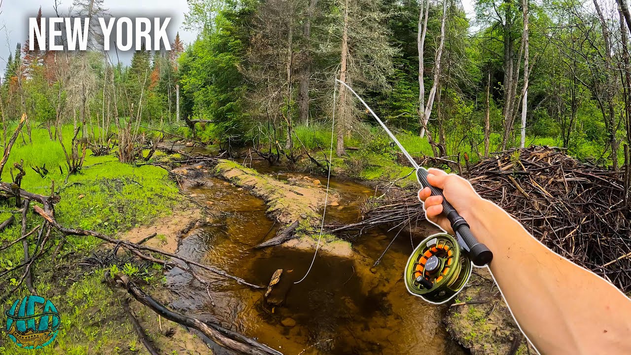 Fly Fishing some AMAZING Water! || 3 Days in Trout Fishing Heaven (New ...
