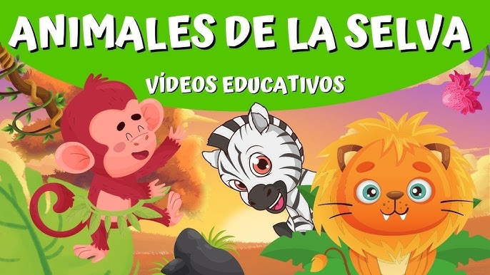 Que Comen Los Animales Youtube