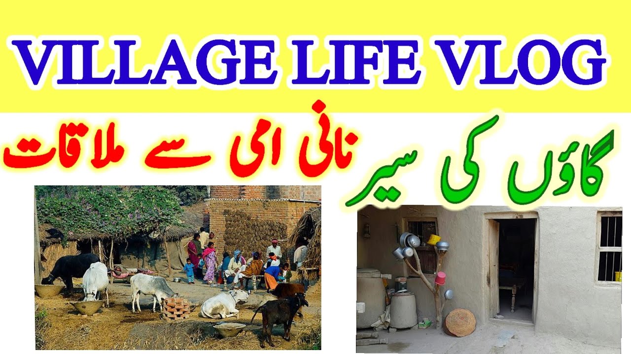 VILLAGE LIFE VLOG/نانی امی سے ملاقات / گاؤں کی سیر - YouTube