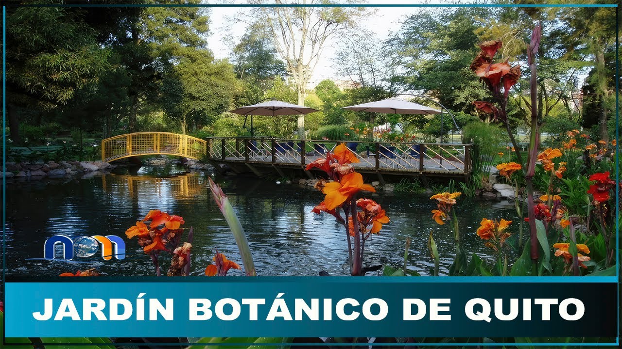 Jardín Botánico de Quito, Un tesoro verde en la ciudad - YouTube