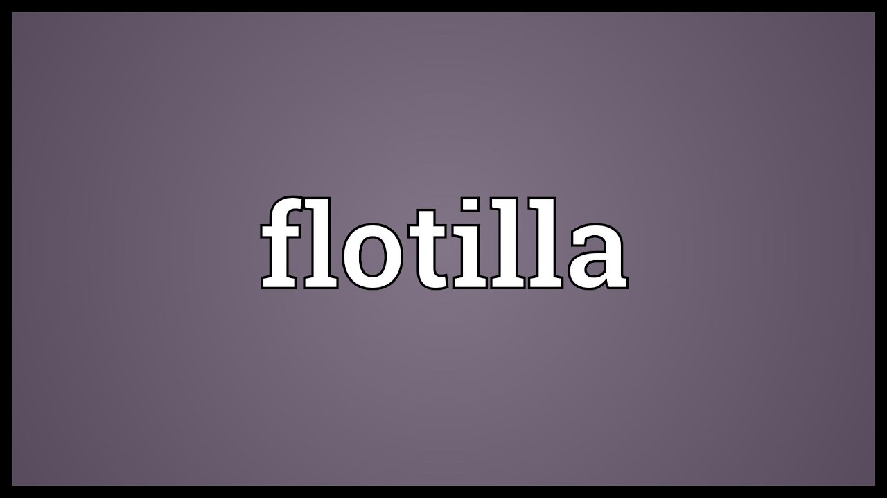 Flotilla Meaning - YouTube