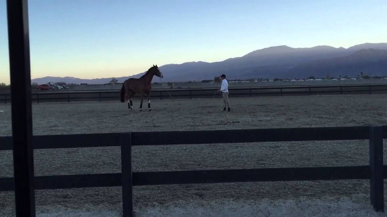 Rope training with Master Simpson - YouTube