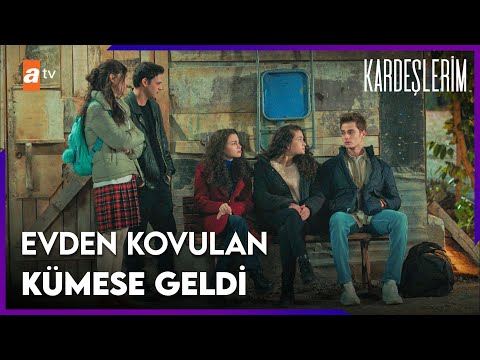 Bu gece kümeste misafir çok - Kardeşlerim 82. Bölüm
