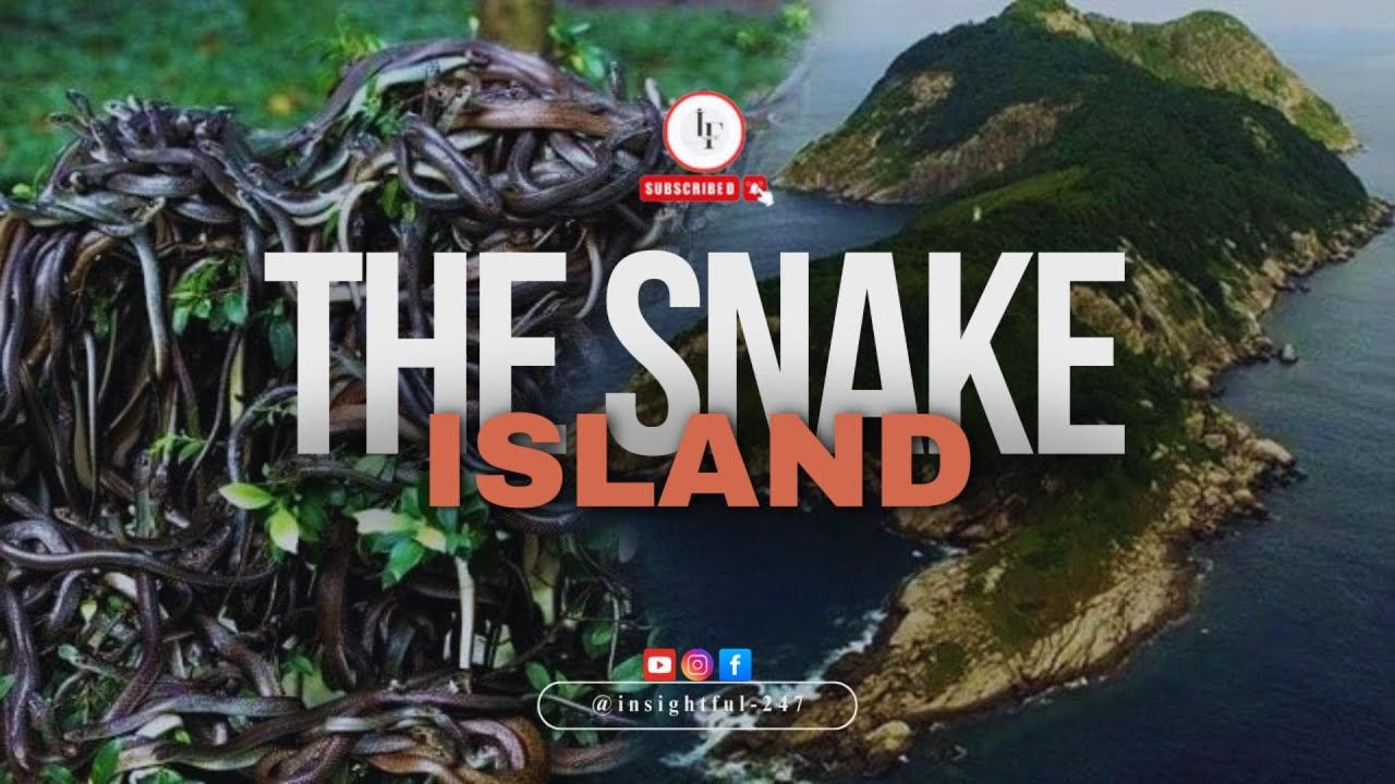 The Untold Mystery of Snake Island | Official Trailer - YouTube