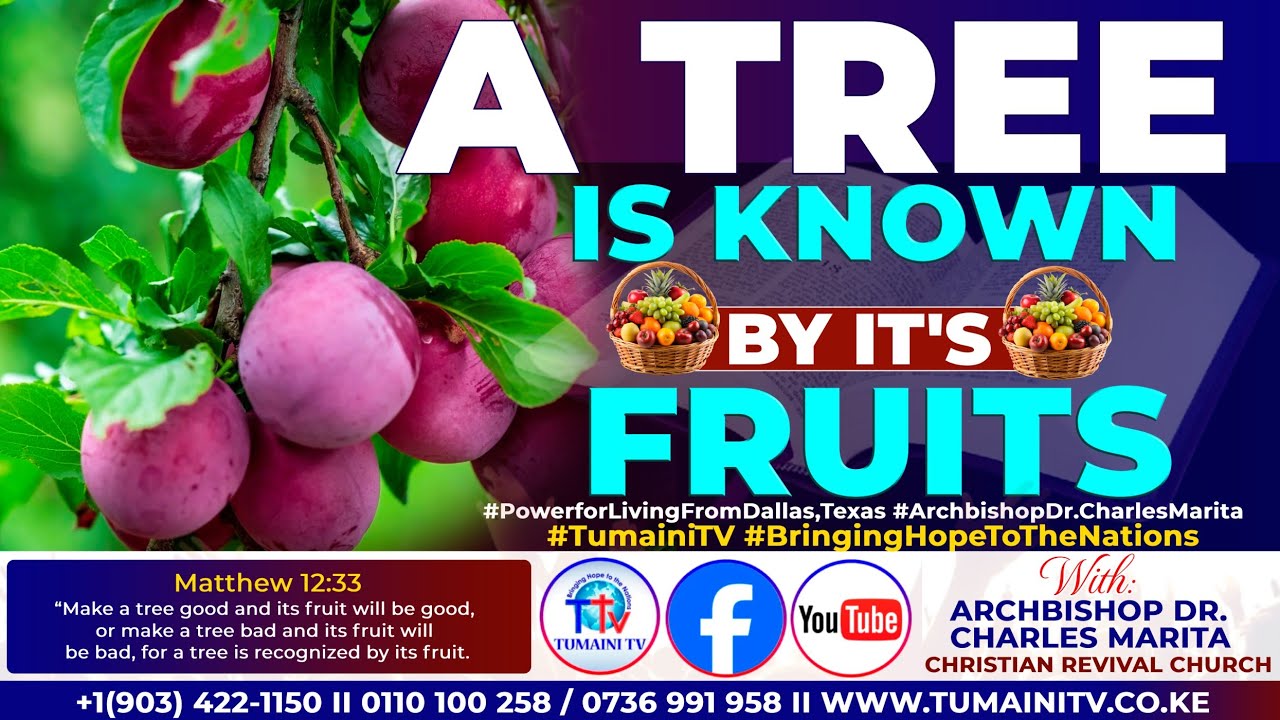 A Tree Is Known By It's Fruit | Archbishop Dr. Charles Marita ...