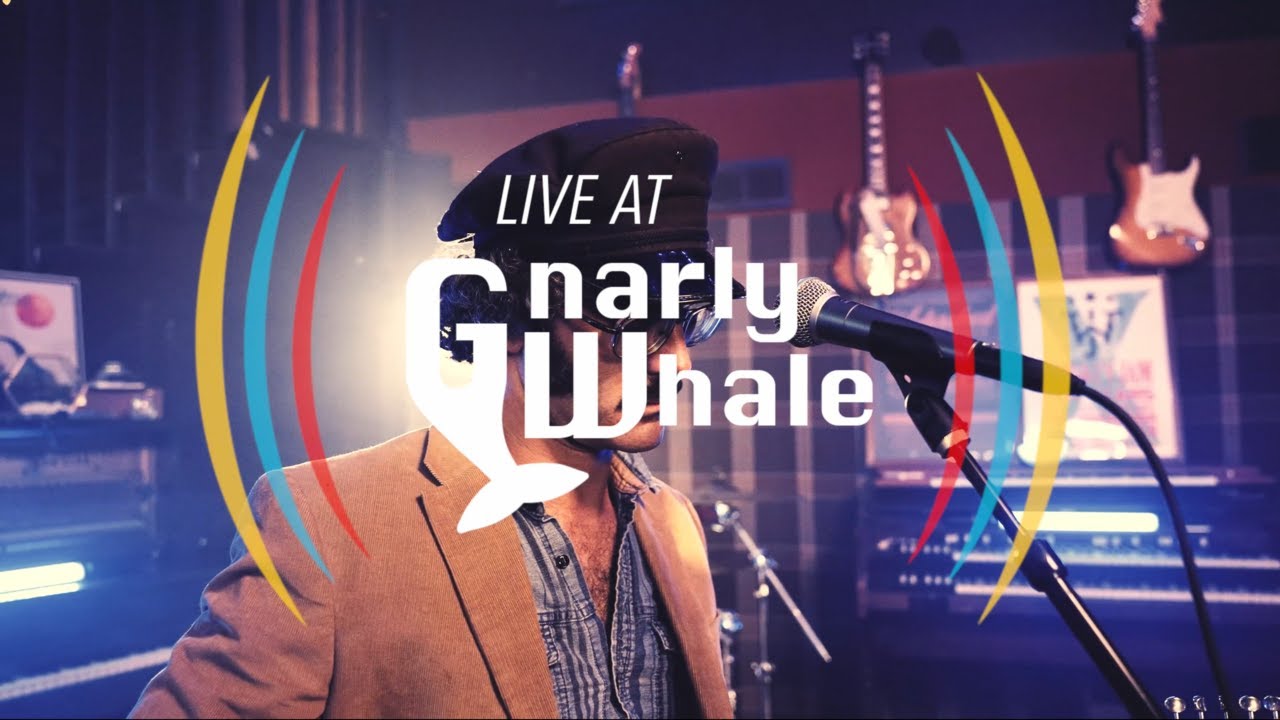 Vertigo Pilot - Live at Gnarly Whale Ep. 36 (In-Studio Performance ...