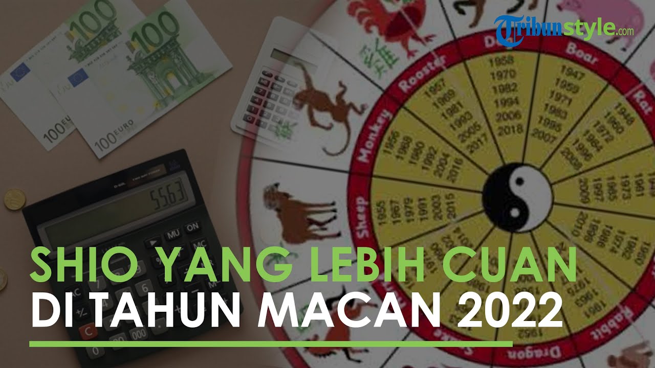Shio yang akan Lebih Cuan di Tahun Macan 2022, Simbol Babi, Kuda ...