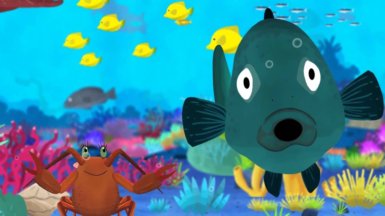 Fish Forever - YouTube