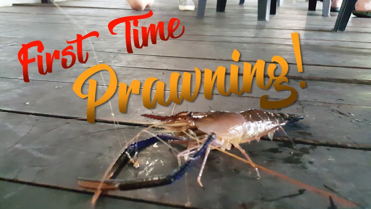 Prawning in Bugis! - YouTube