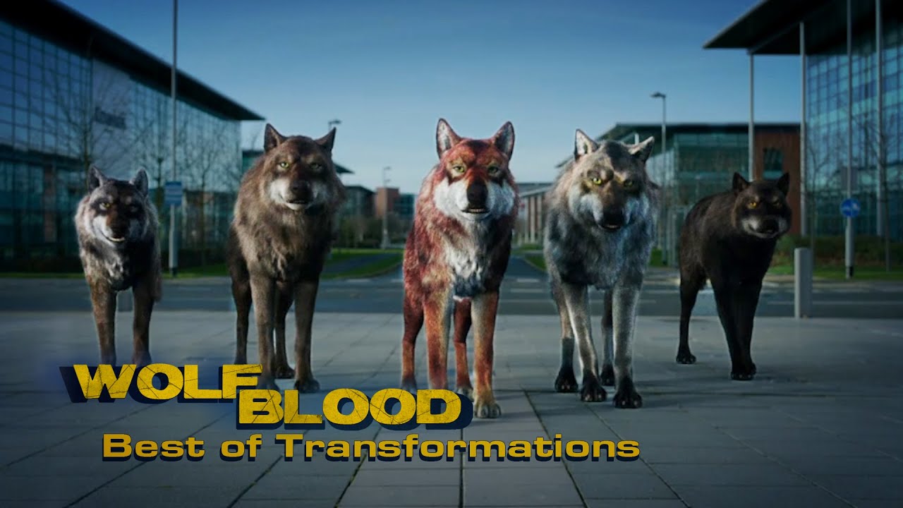 Best of Transformations 4.0 🐺 | Special | Wolfblood - YouTube