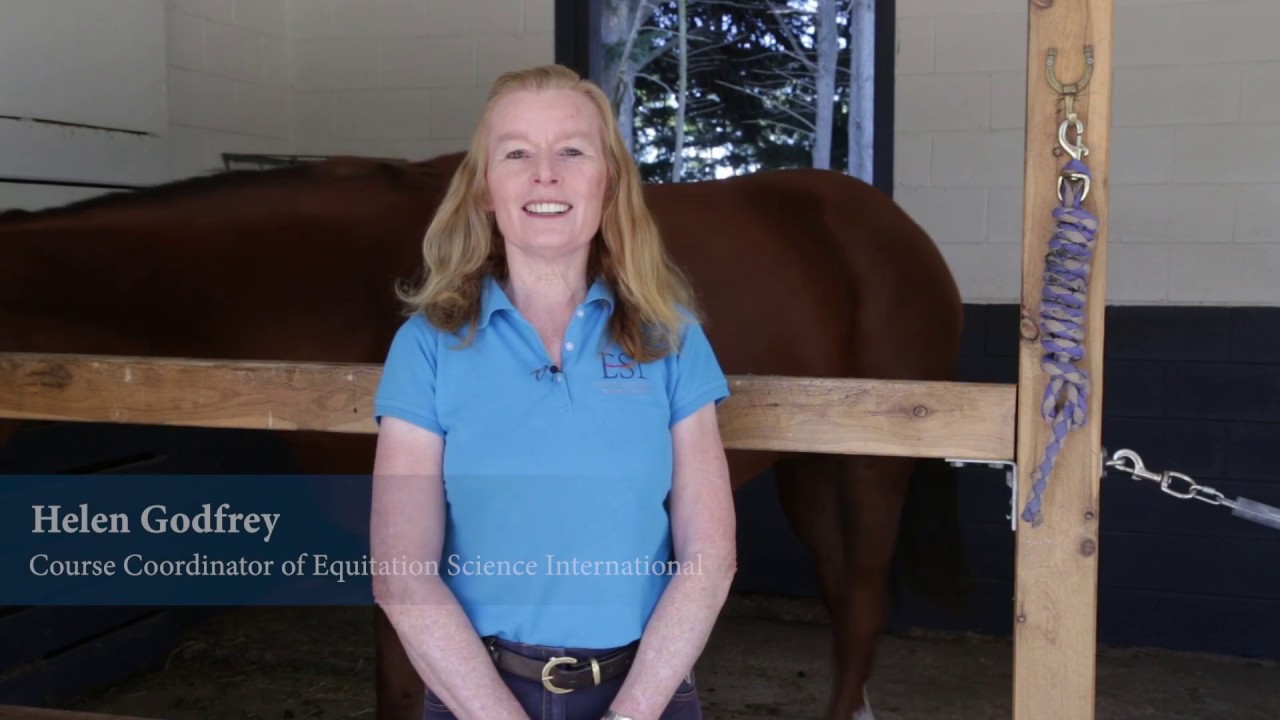 Helen Staff Profile + introducing Charlie - YouTube