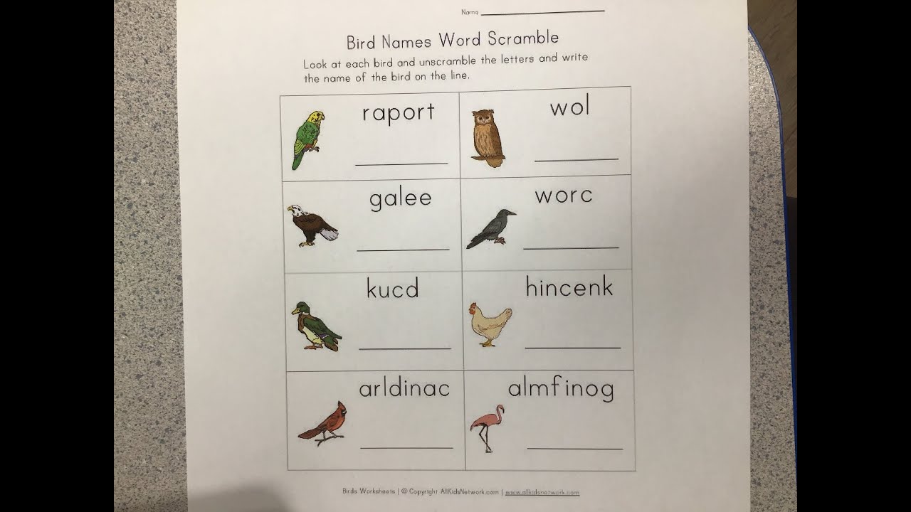 Spelling Birds w Mrs. Desiree - YouTube