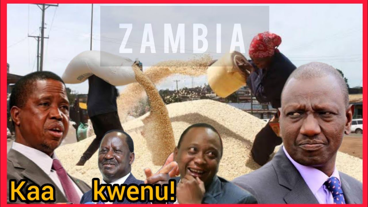 Drama AS ZAMBIA BLOCKS RUTO FROM IMPORTING CHEAP MAIZE TO KENYA ...