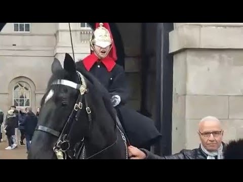 Very Best King's Guards Moments - YouTube