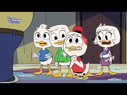 DuckTales l Kim Kimdir? – Cin