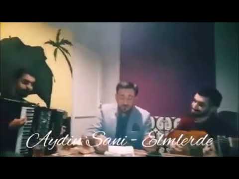 Ayın Sani Canlı ifa - Elimlerde