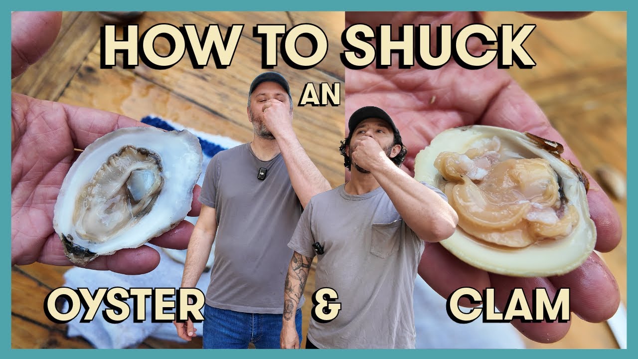 How to Shuck an Oyster and a Clam with Ari Kolender - YouTube