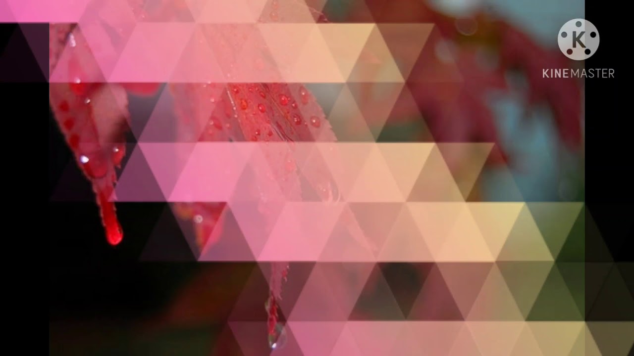 Janasar ha - YouTube