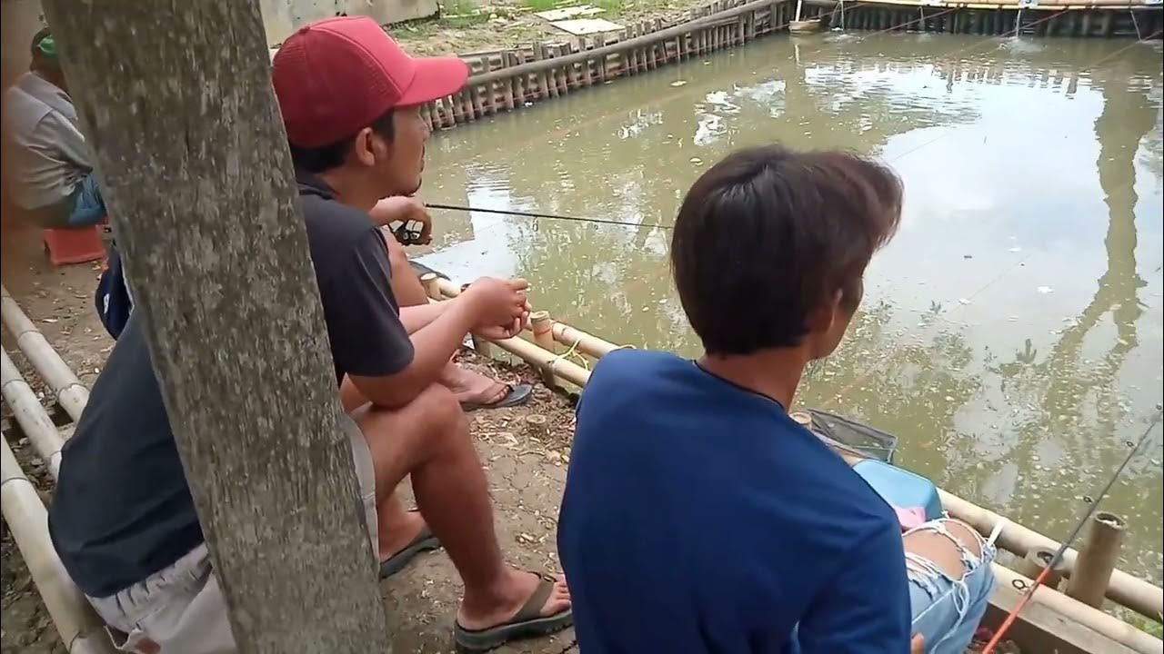 lomba mancing ikan mas - YouTube
