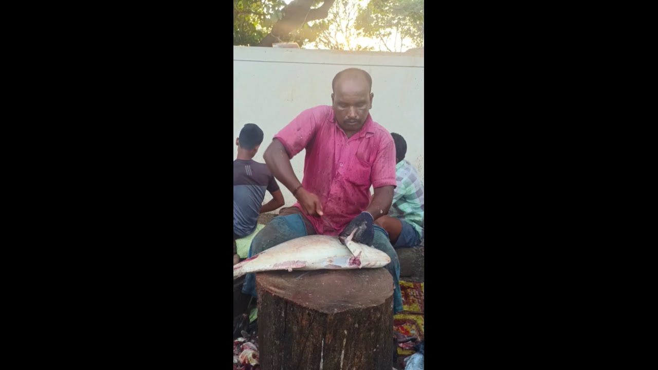 kasimedu fish market fish cutting 8kg | Partha GTF | - YouTube