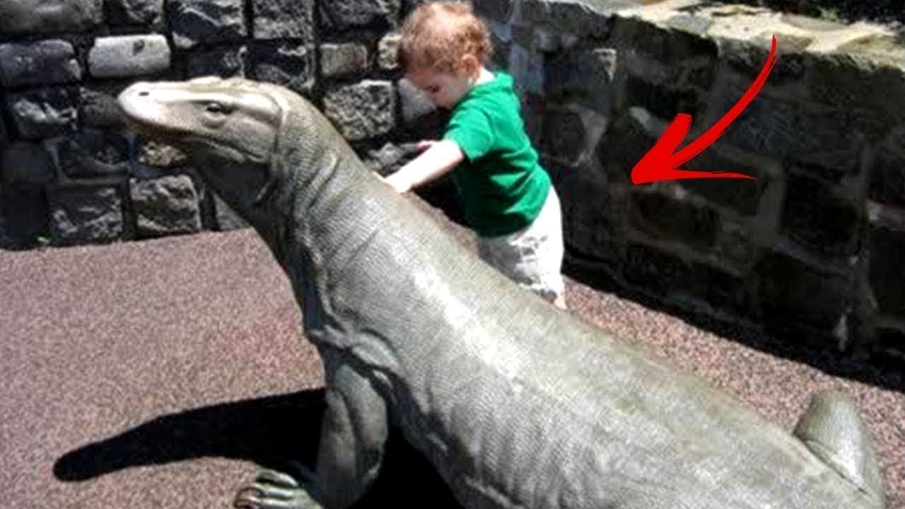 10 Scary Pets People Actually Own - YouTube