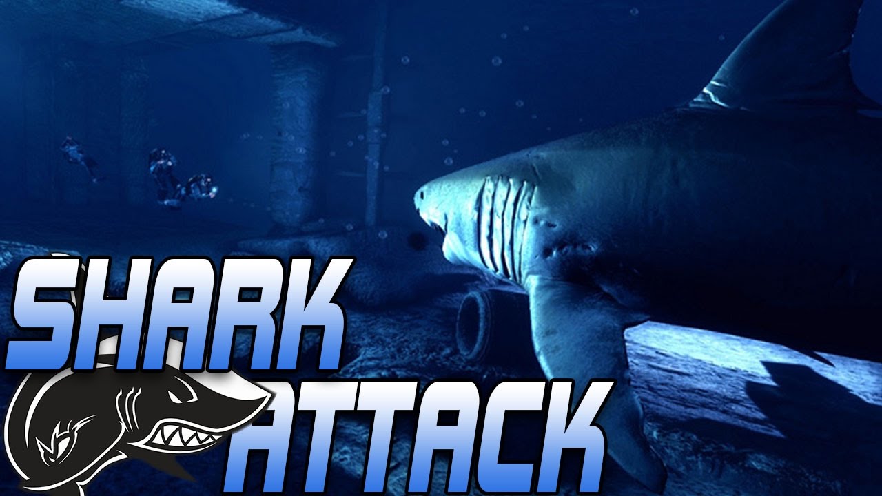 Shark Attack #1 - Feeding & Killing Frenzy - YouTube