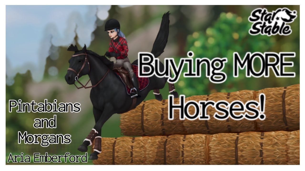 Buying the Black Morgan (and Pinatbians) | SSO | Aria Emberford - YouTube