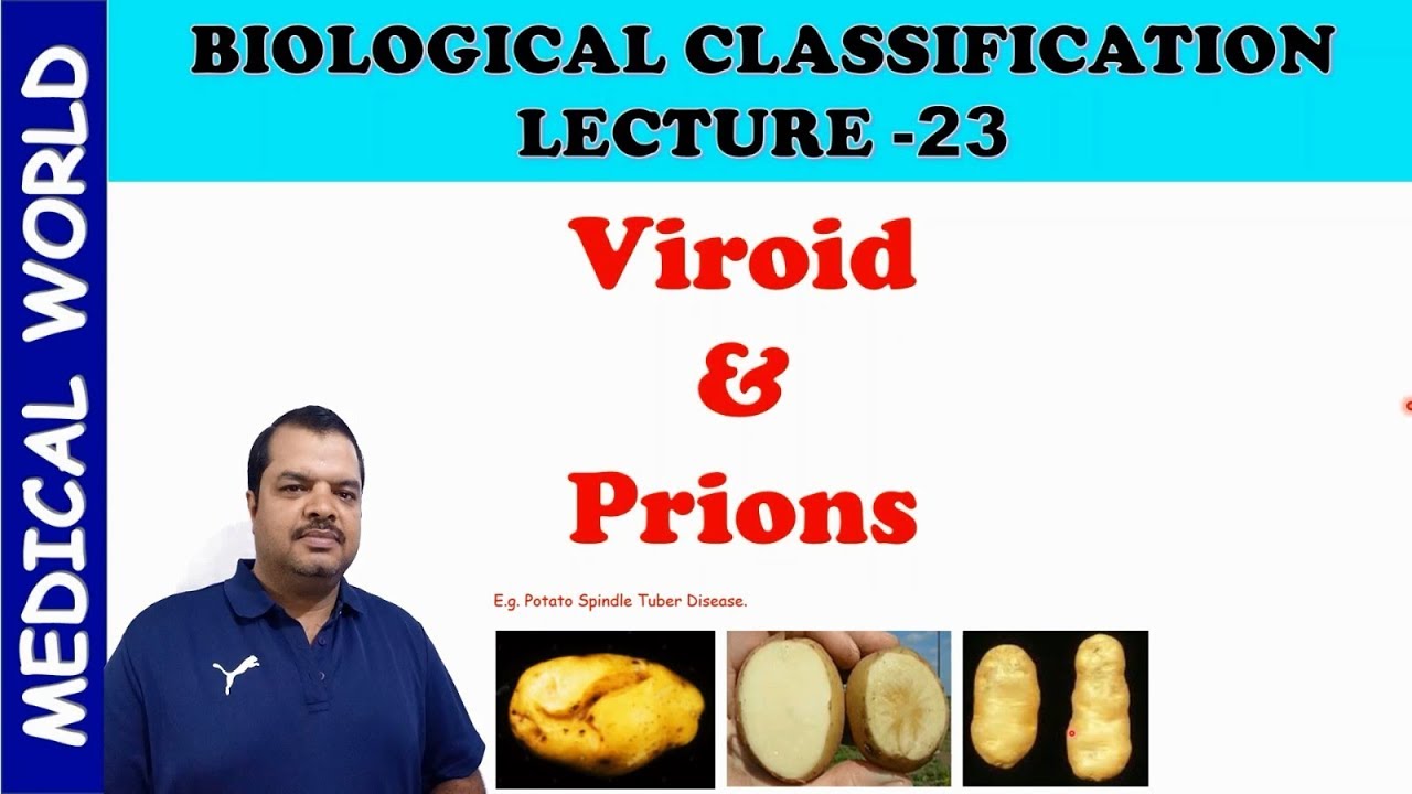 VIROIDS AND PRIONS | BIOLOGICAL CLASSIFICATION | LECTURE 23 - YouTube