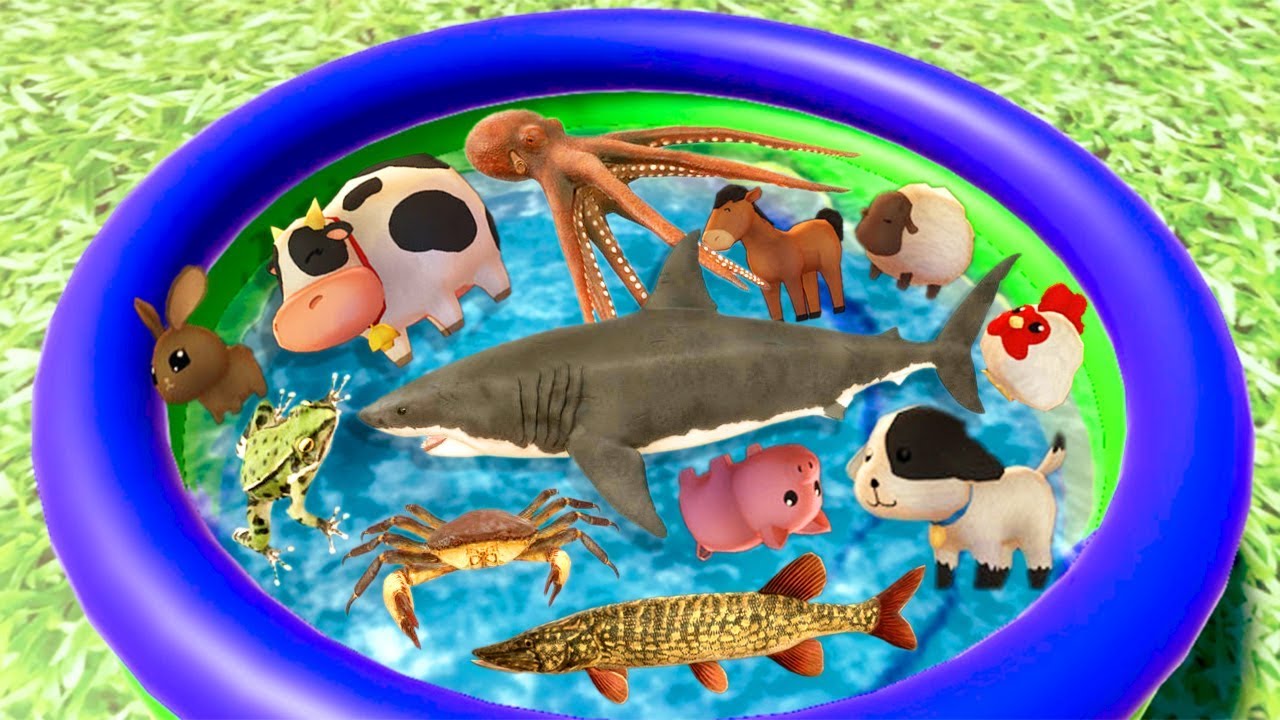 Learn Colors With Sea Animals and Shark Toys in Water Pool - YouTube