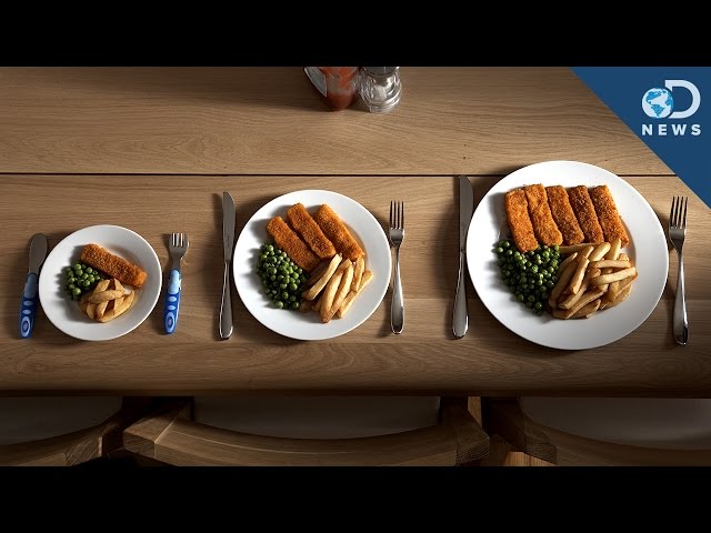 Food Portion Size Guide