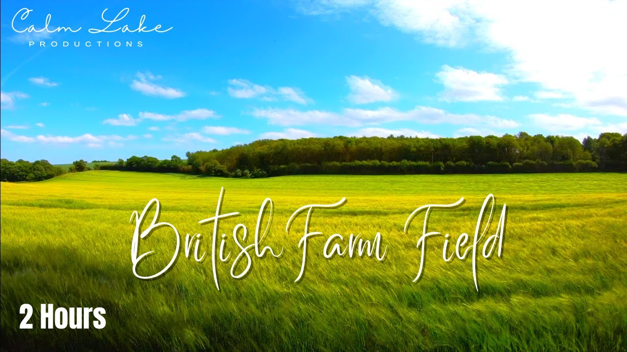 Farm Field Background Video with Windy Green Grass | British ...