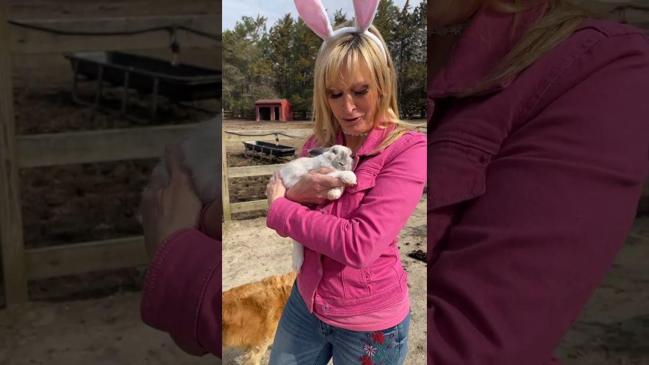 “The Funny Farm Show LIVE!” Episode 51 - YouTube