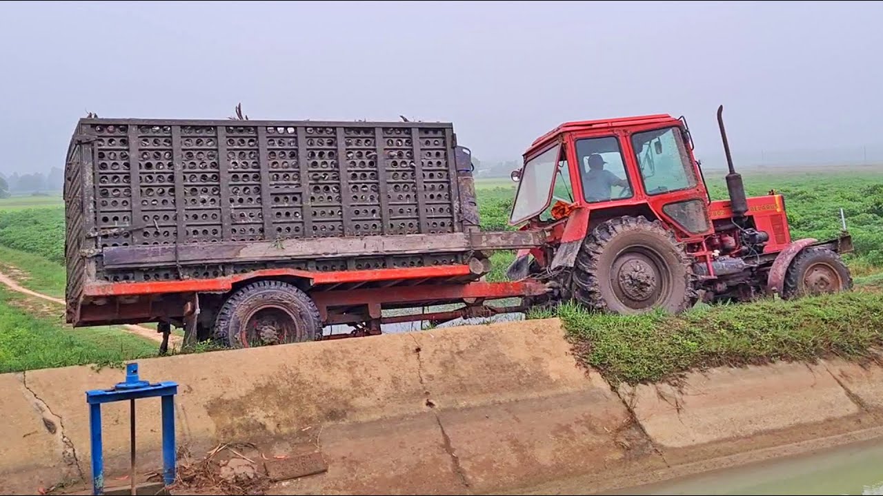 Belarus 805 Tractor transporting 8 tons Cassava | Máy cày Belarus 805 ...