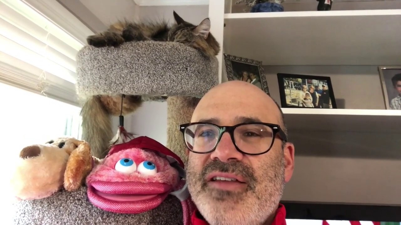 Kramer The Cat קרמר החתול - YouTube