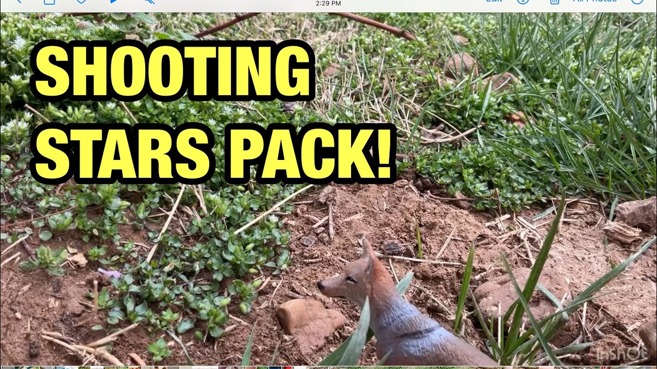 THE SHOOTING STARS PACK! ( New season) - EP1 - - YouTube