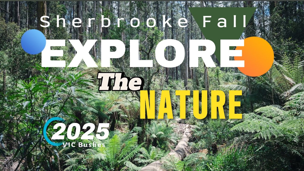 Exploring the Beauty of Sherbrooke Falls: A Walking Tour 4K Video 🇦🇺🦘 ...