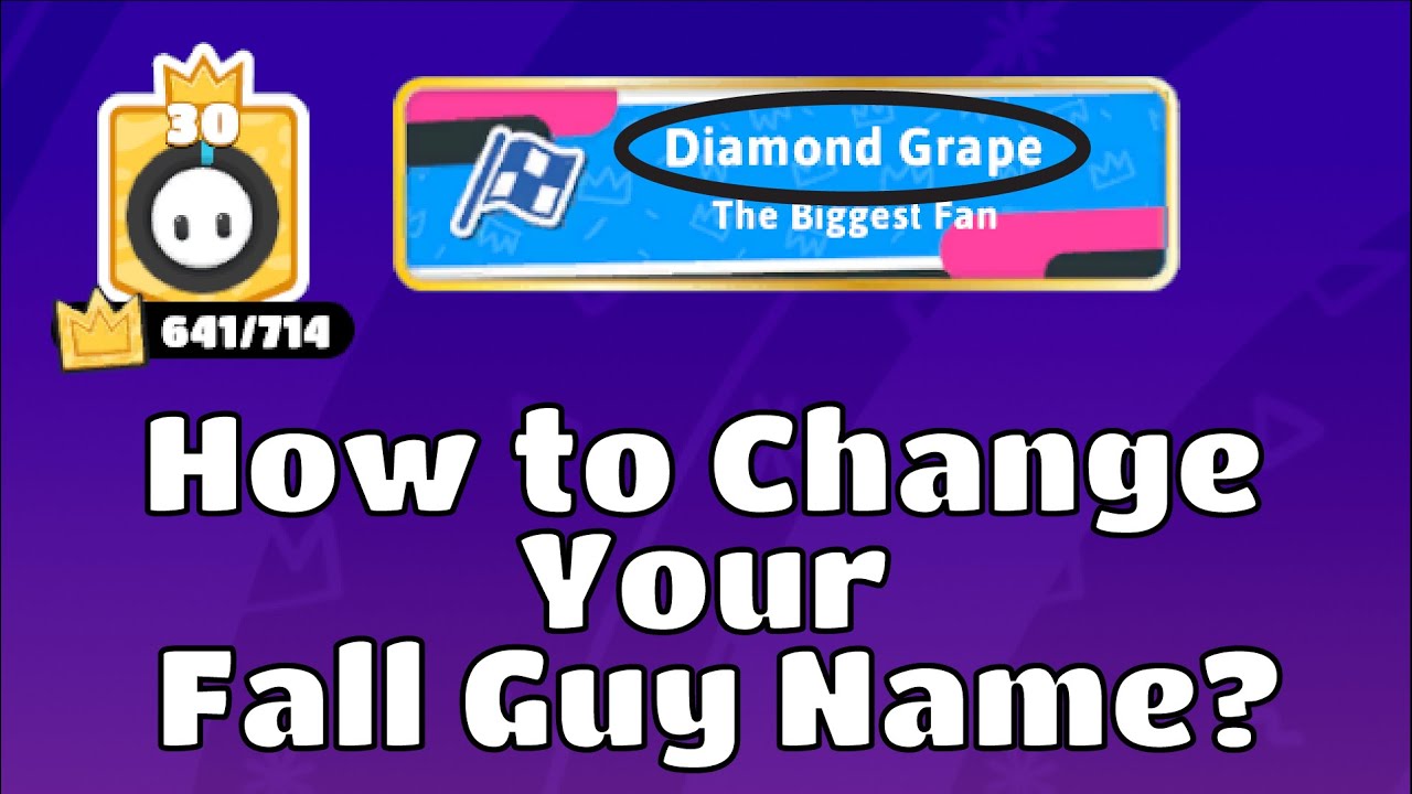 How To Change Your Name In Fall Guys On PC [2022] - YouTube