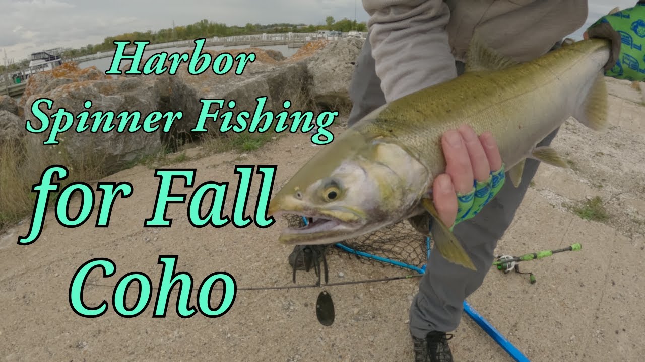 How to Catch More Fall Coho Salmon! Michigan Harbor Spinner Fishing ...