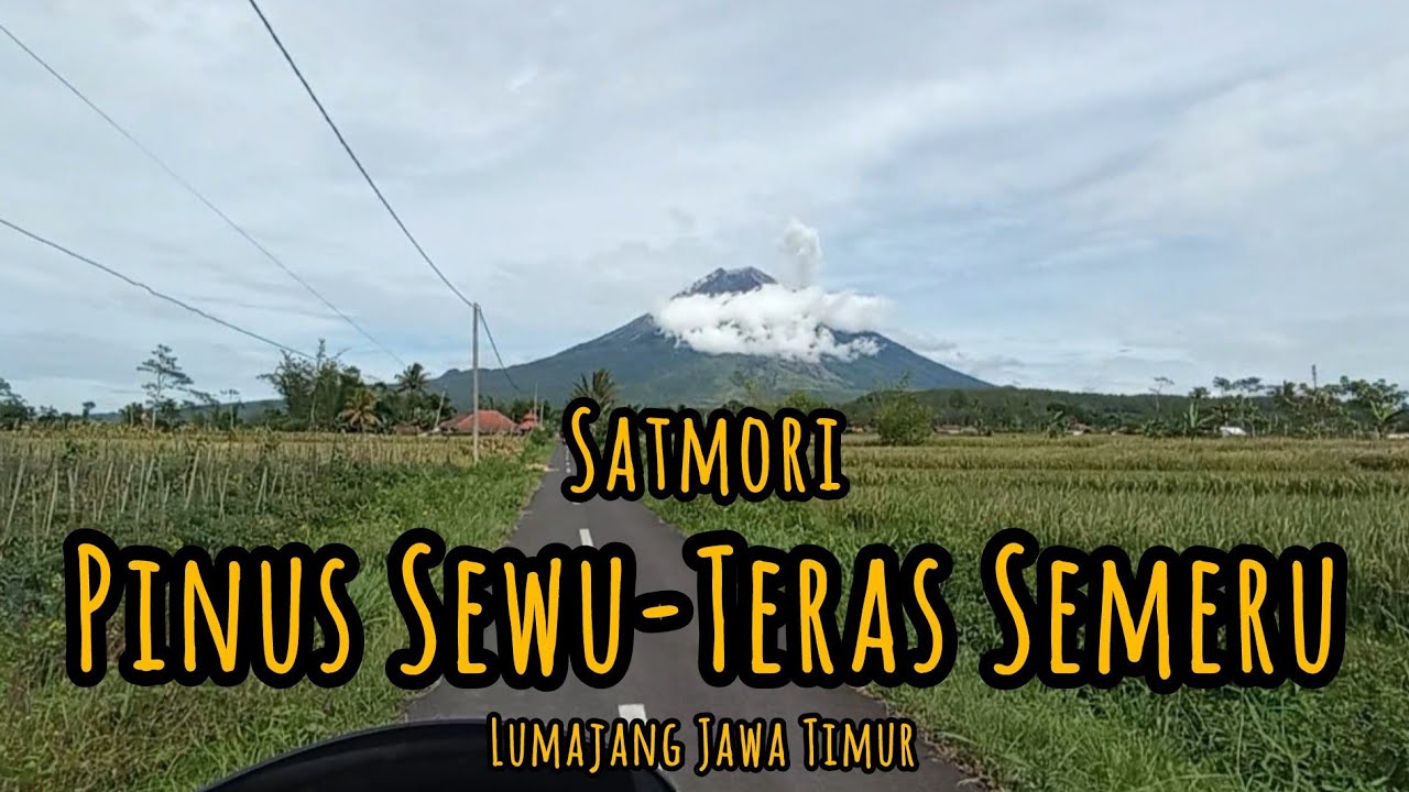 SATMORI PINUS SEWU - TERAS SEMERU ‼️ Lumajang Jawa Timur // 11.01.2025 ...